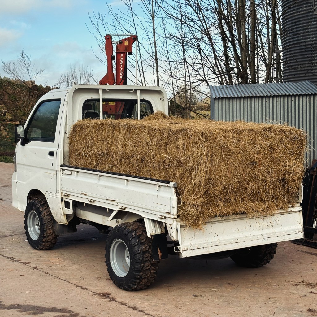 FAQ's | UK Mini Trucks